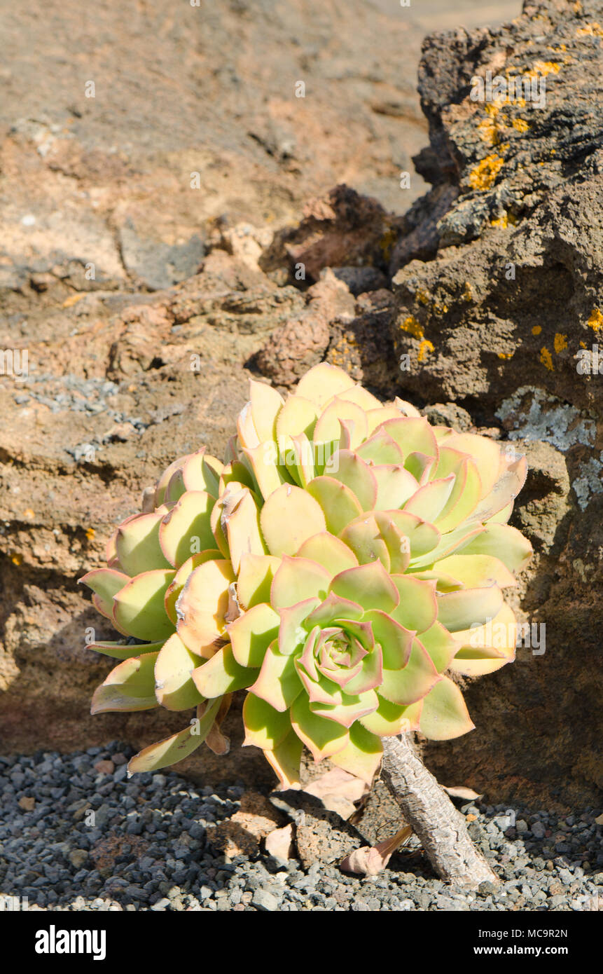 Perfect symmetry hi-res stock photography and images - Alamy