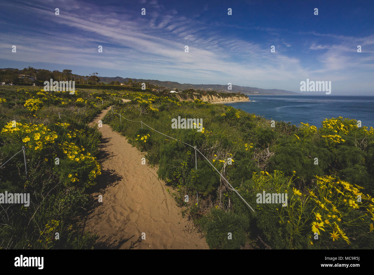 Point dume cove trail hi-res stock photography and images - Alamy