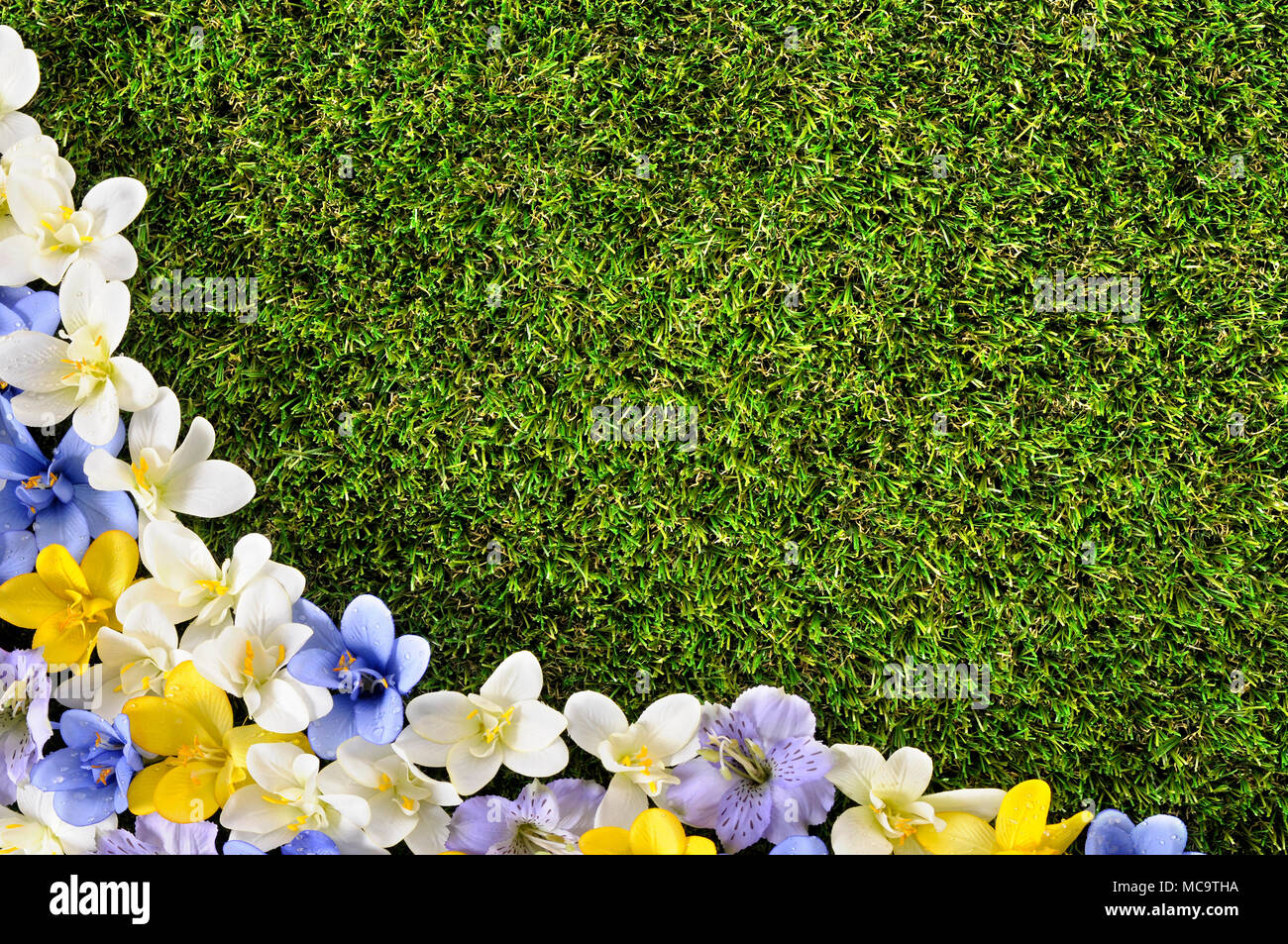 Spring flower border background, grass copy space Stock Photo - Alamy