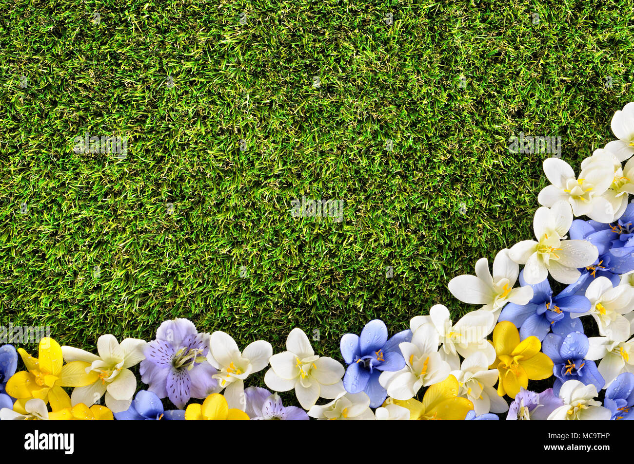 Spring Borders For Word