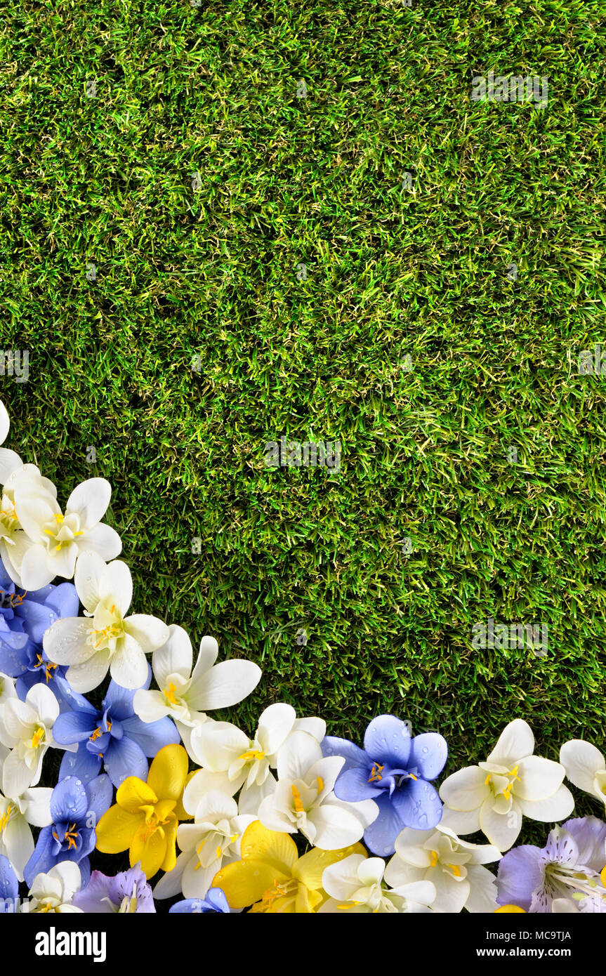 Spring flower border background, grass copy space Stock Photo - Alamy