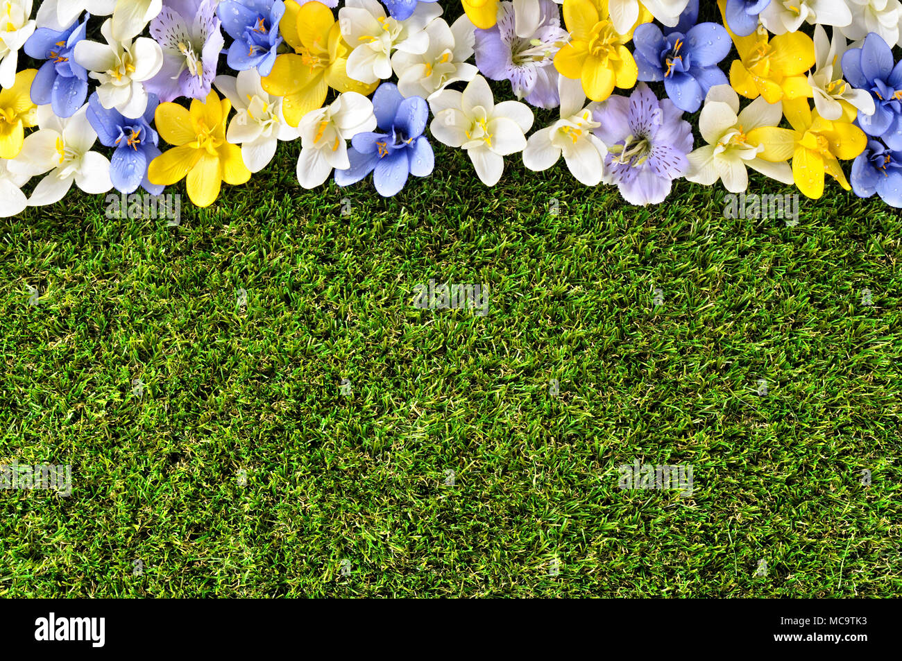Spring flower border background, grass copy space Stock Photo - Alamy