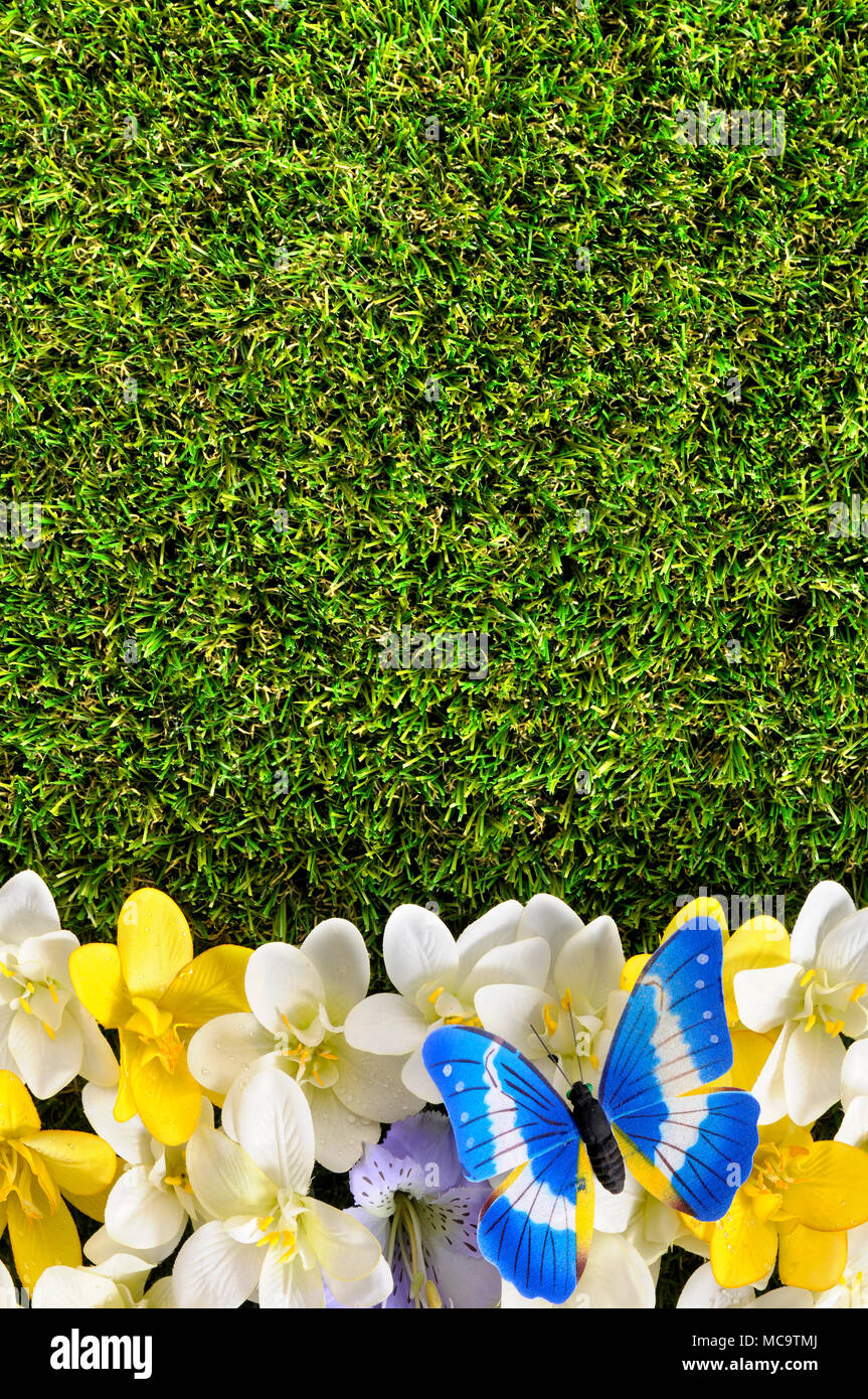 Spring Flowers And Butterflies Border