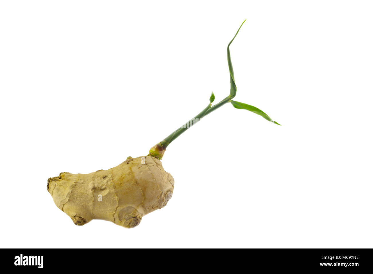 Fresh ginger honey lemon Cut Out Stock Images & Pictures - Alamy