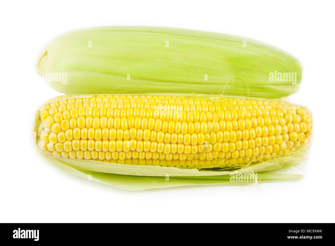 Sweet corn field Cut Out Stock Images & Pictures - Alamy