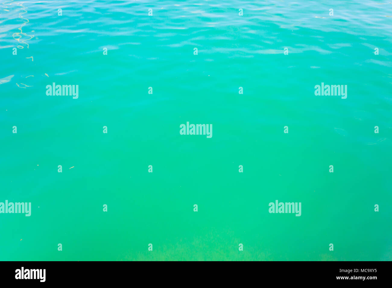 Aerial view sea surface bottom hi-res stock photography and images - Alamy