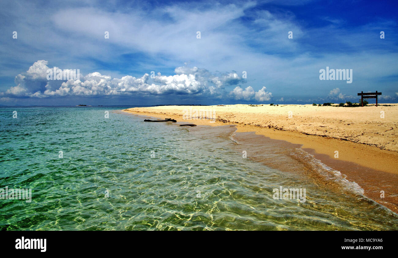 Hawksbill turtle borneo sand hi-res stock photography and images - Alamy