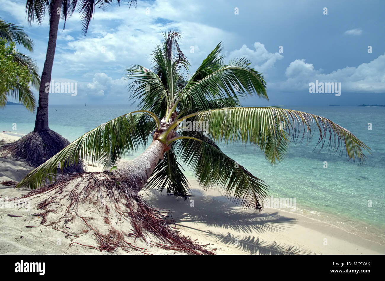 Selingan turtle island Stock Photo - Alamy