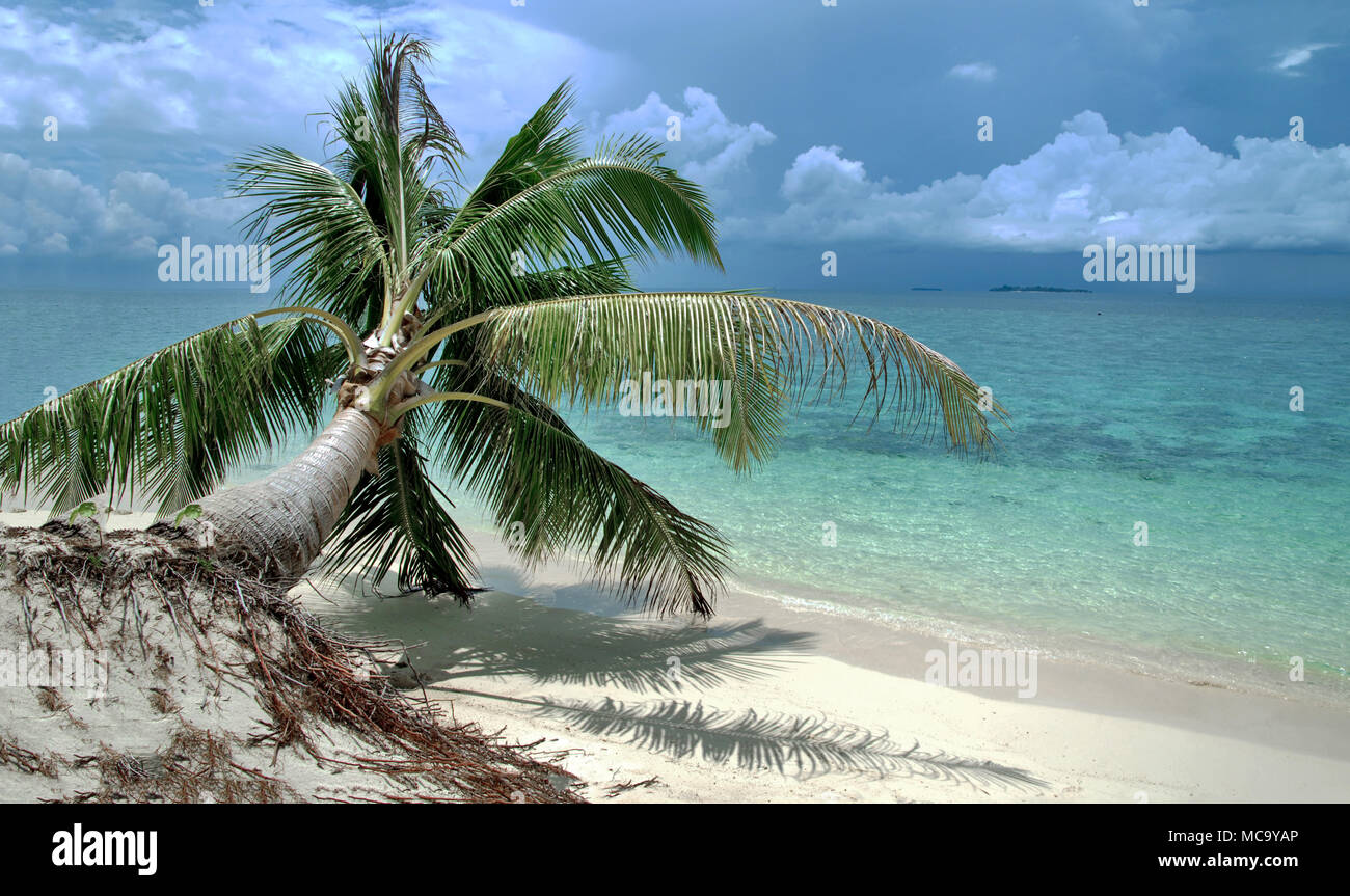 Selingan turtle island Stock Photo - Alamy