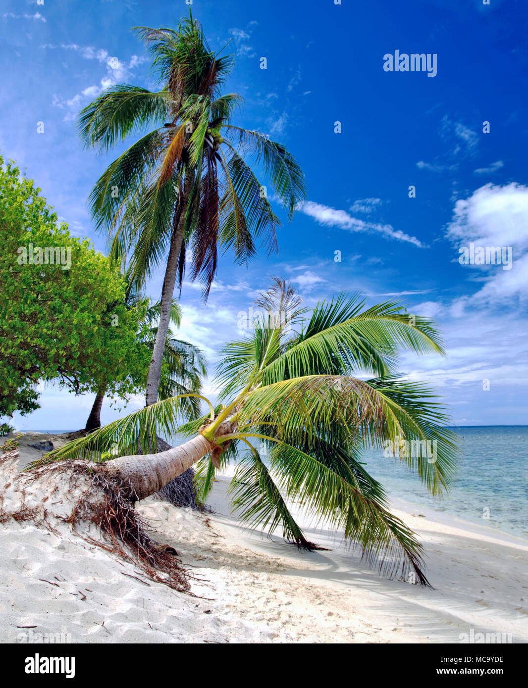 Selingan turtle island Stock Photo - Alamy