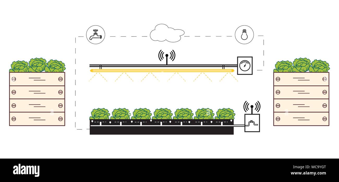 Smart farm and agriculture. Monitoring and control of temperature ...