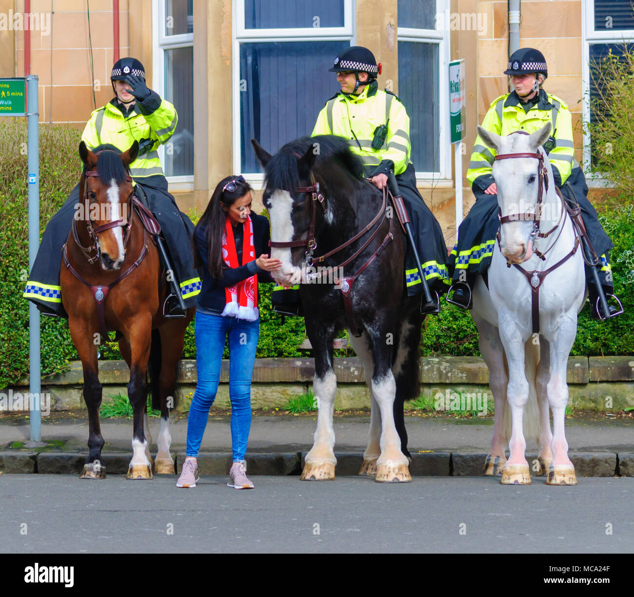 Scottish Fan High Resolution Stock Photography and Images - Alamy