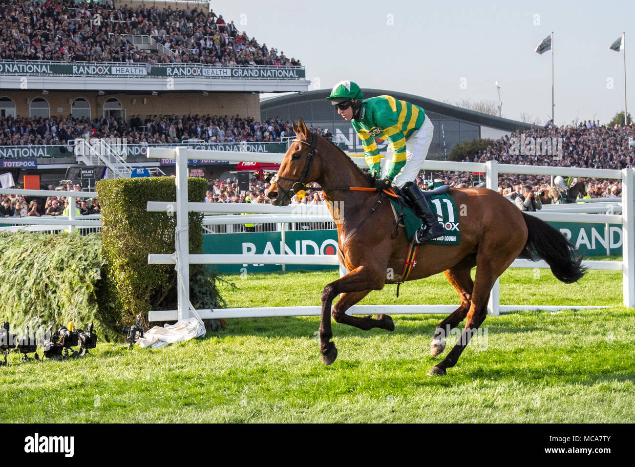 Racehorse uk isolated hi-res stock photography and images - Alamy