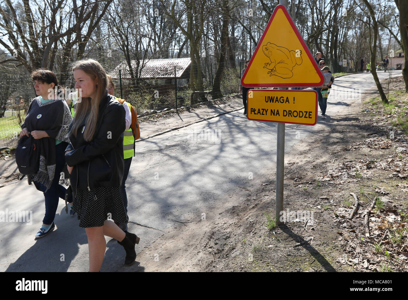Migrating frogs hi-res stock photography and images - Alamy