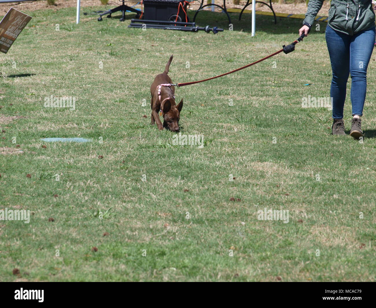 Garland southeast section hi-res stock photography and images - Alamy