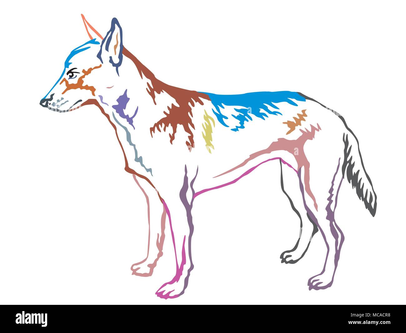Belgian malinois standing Stock Vector Images - Alamy