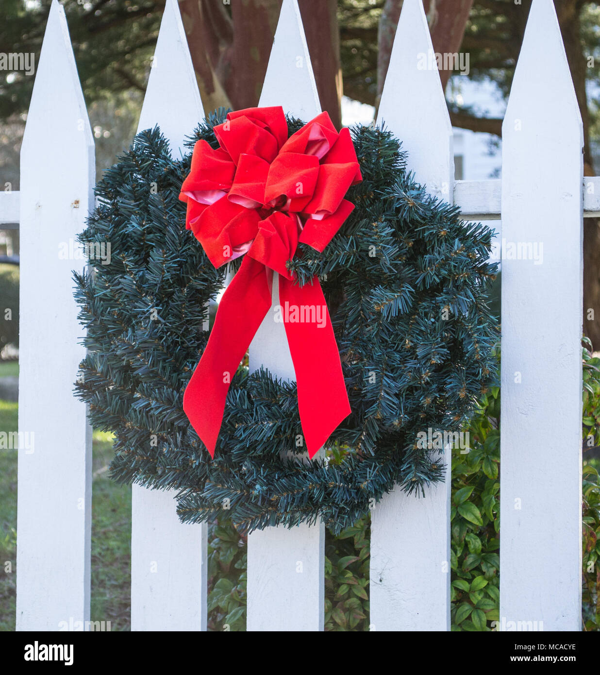 Beaufort, north carolina christmas hi-res stock photography and images ...