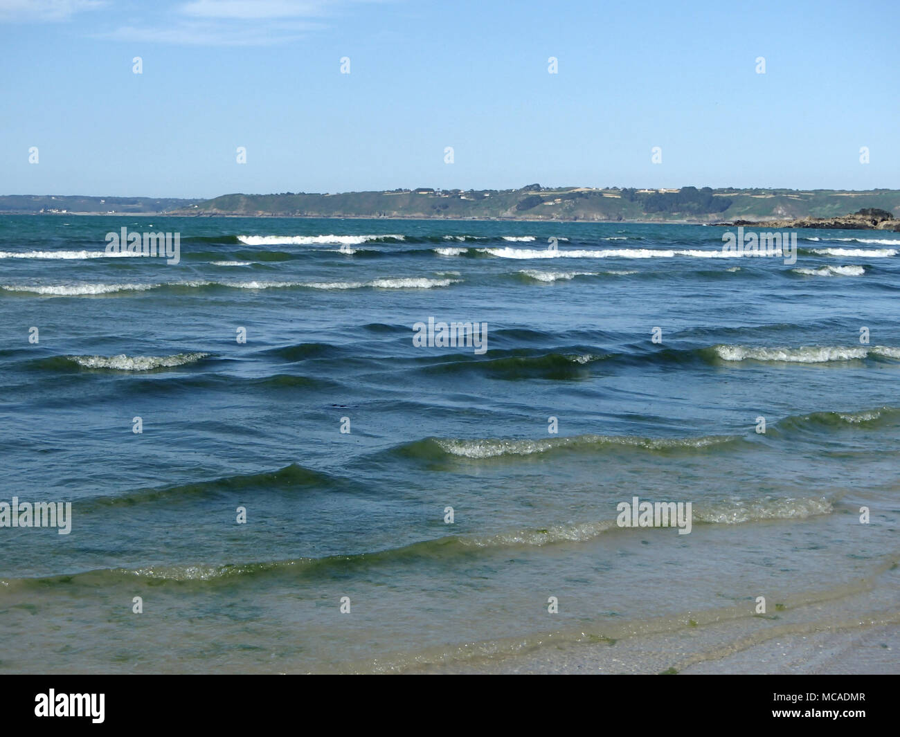 Green Seaweeds Tide Overgrowth on Brittany Coast Stock Photo - Alamy