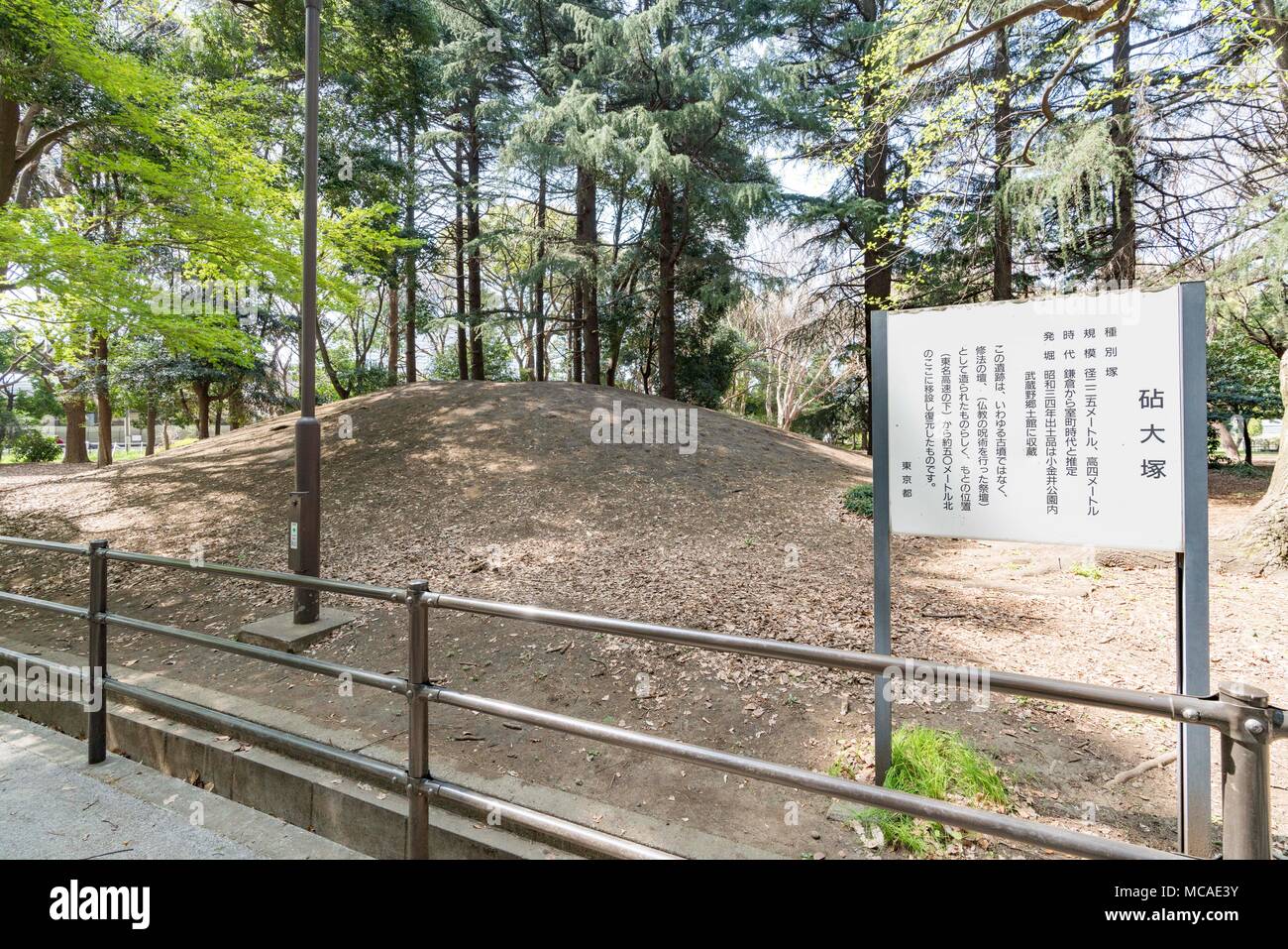 Spring scene, Kinuta Park, Setagaya-Ku, Tokyo, Japan Stock Photo - Alamy
