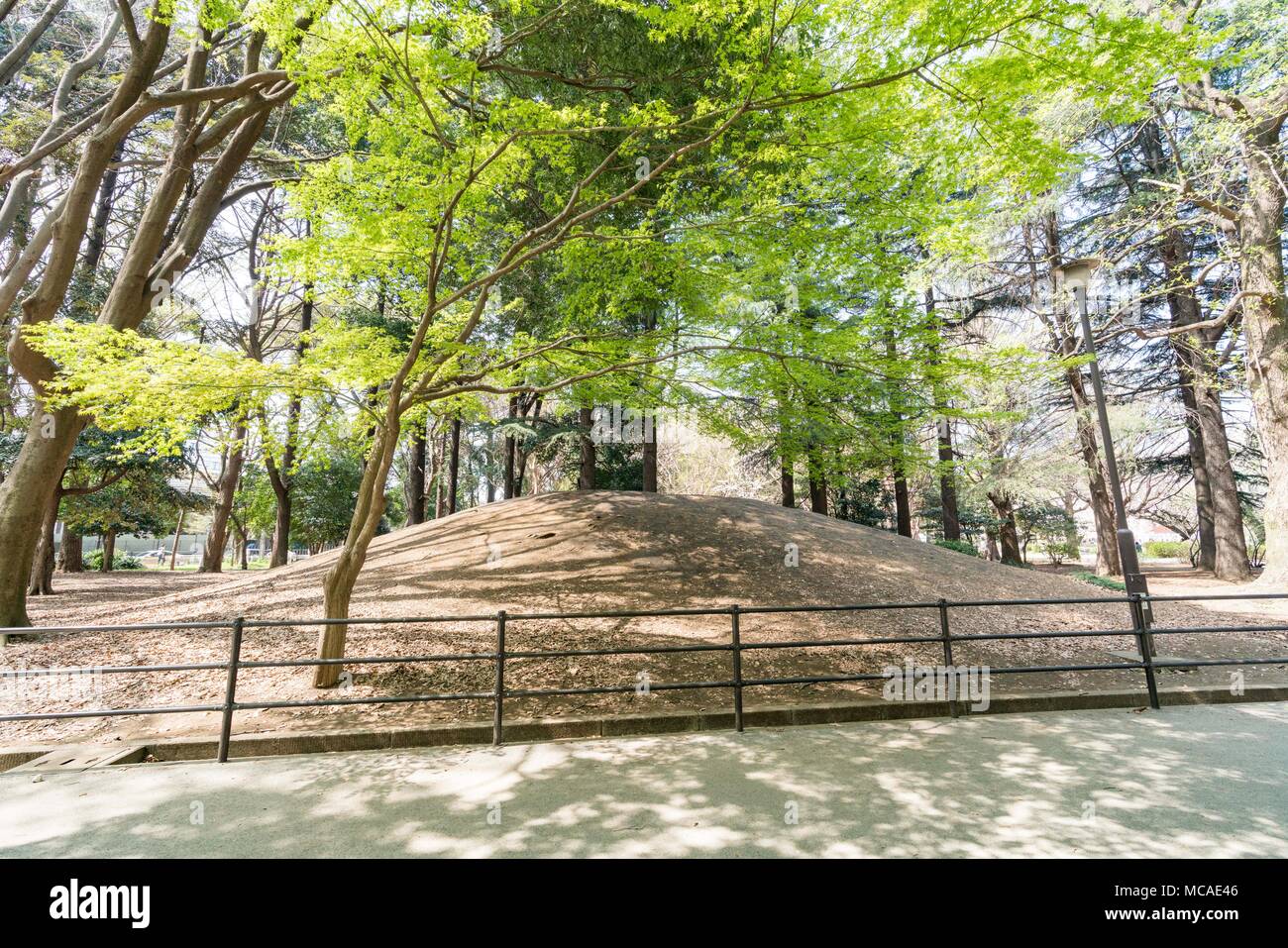 Spring scene, Kinuta Park, Setagaya-Ku, Tokyo, Japan Stock Photo - Alamy