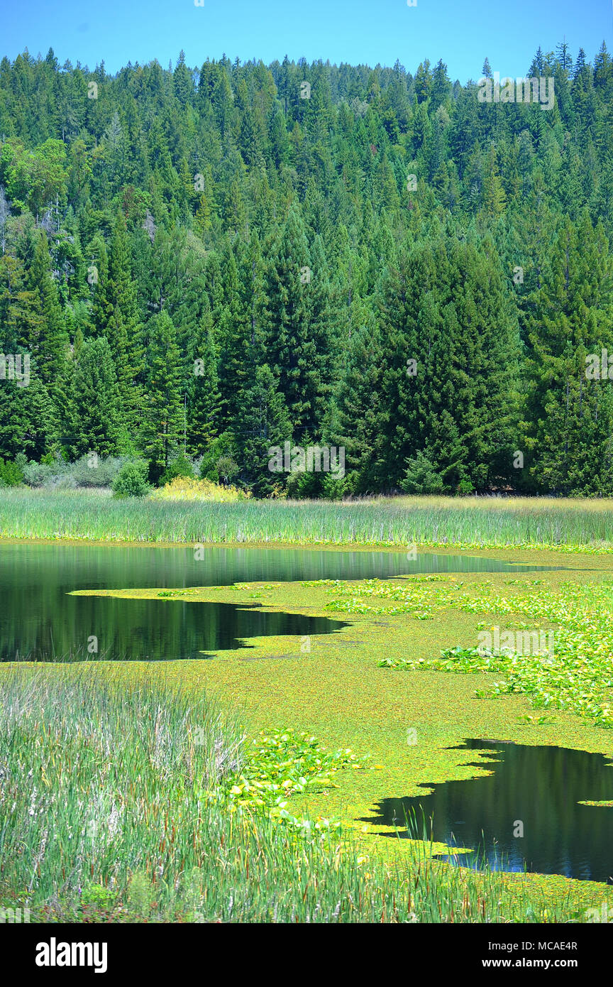 Mountain run-off creates a valley of wetland Stock Photo - Alamy