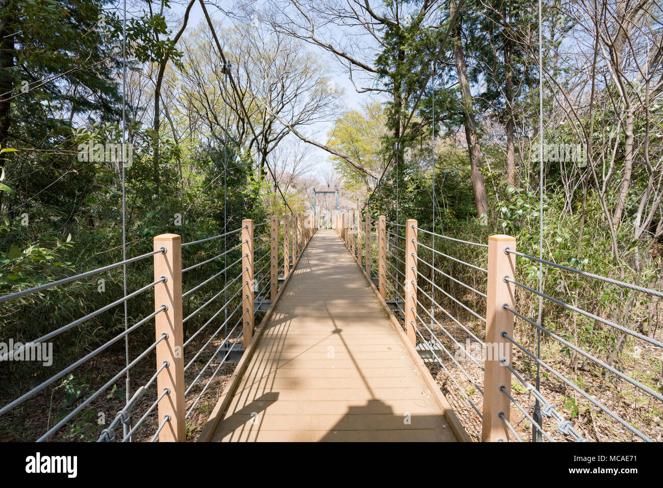 Spring scene, Kinuta Park, Setagaya-Ku, Tokyo, Japan Stock Photo - Alamy