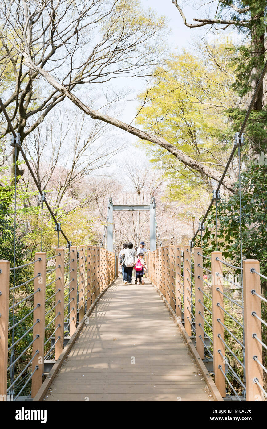Spring scene, Kinuta Park, Setagaya-Ku, Tokyo, Japan Stock Photo - Alamy