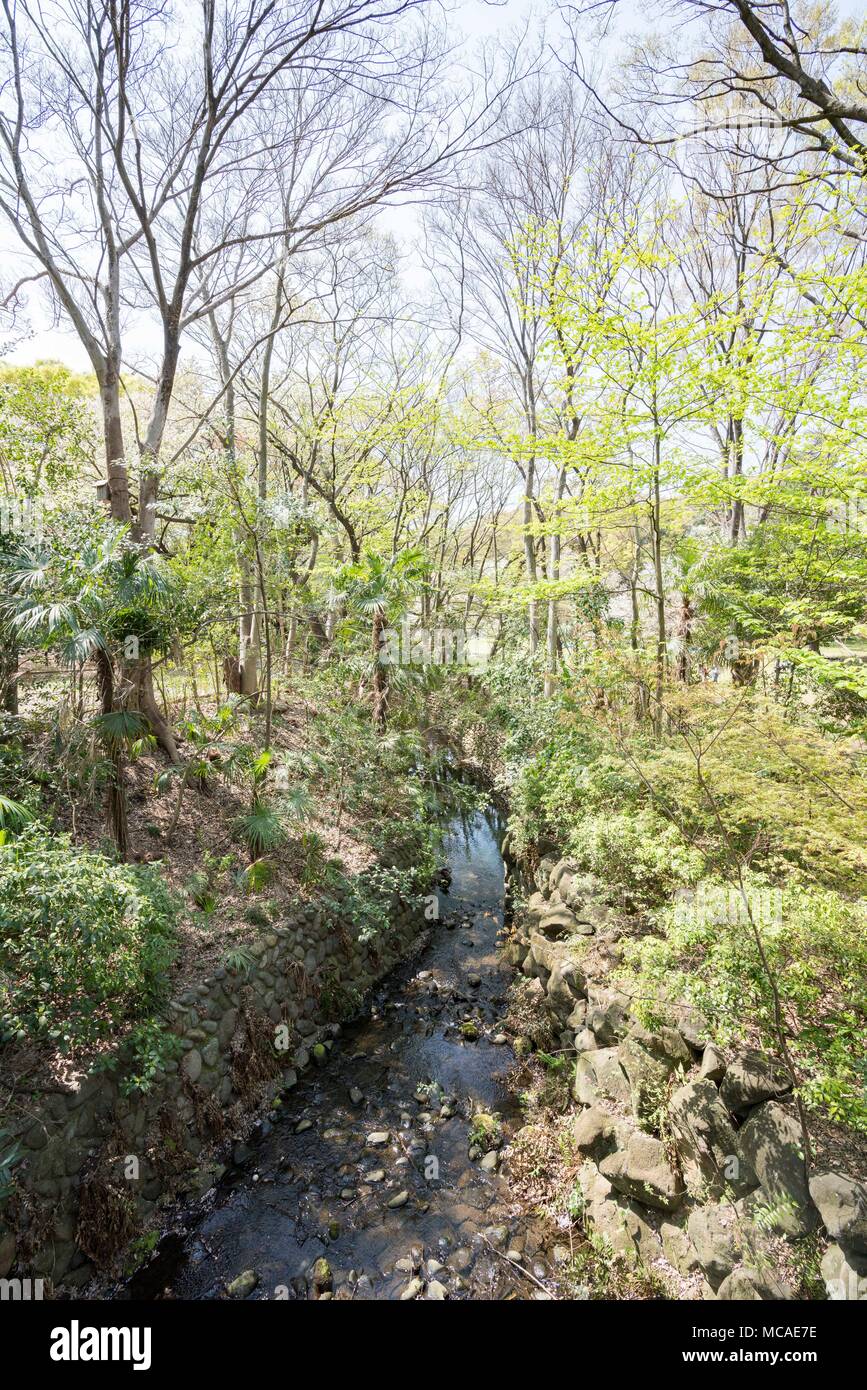 Spring scene, Kinuta Park, Setagaya-Ku, Tokyo, Japan Stock Photo - Alamy