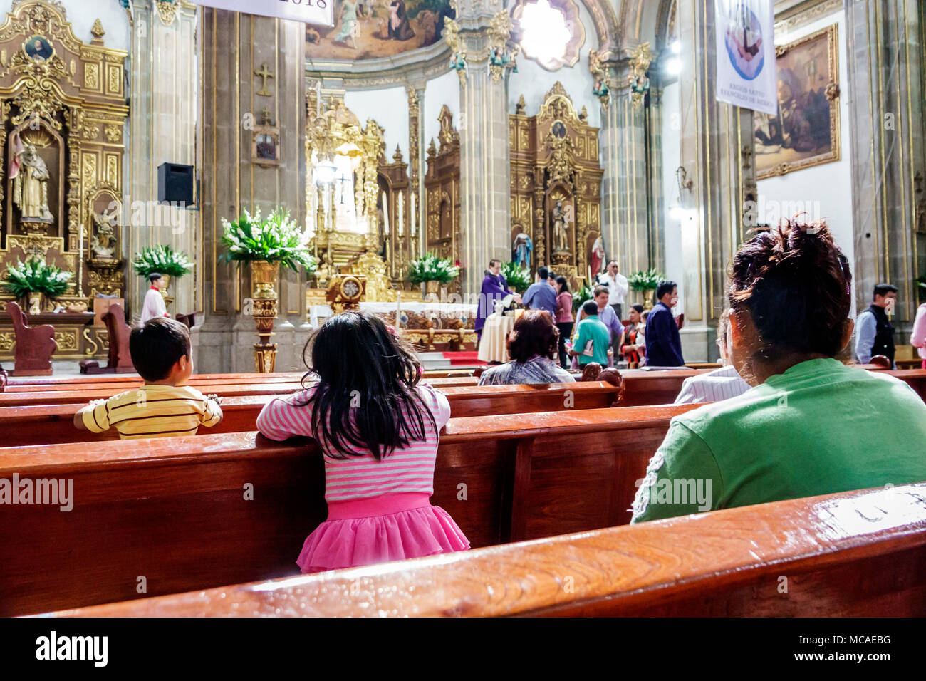 Mexico City,Mexican,Hispanic Latin Latino ethnic,Coyoacan,Del Carmen ...