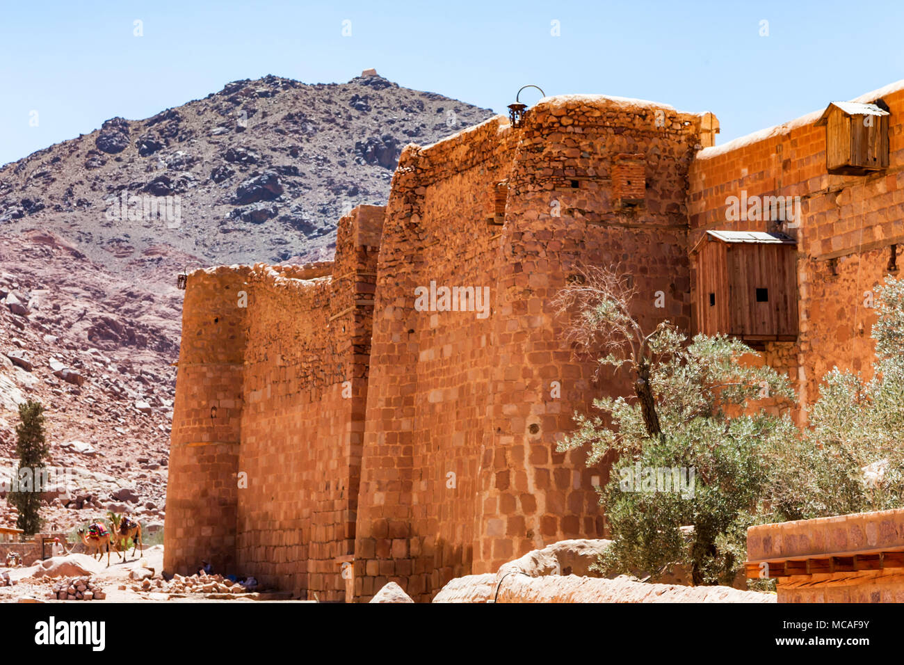 Mount saint catherine egypt hi-res stock photography and images - Alamy
