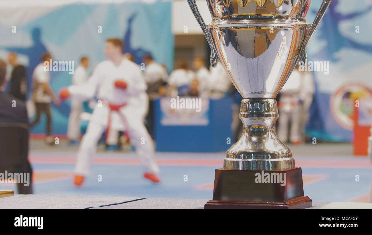 Karate trophy hi-res stock photography and images - Alamy