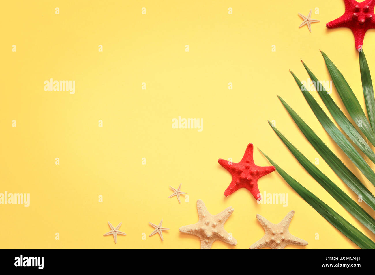 Tropical Background. Palm tree branch with starfish on yellow ...