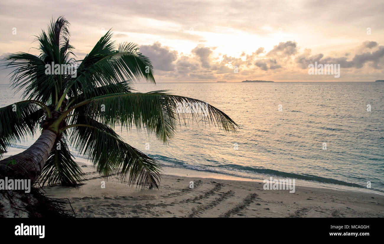 Selingan turtle island Stock Photo - Alamy