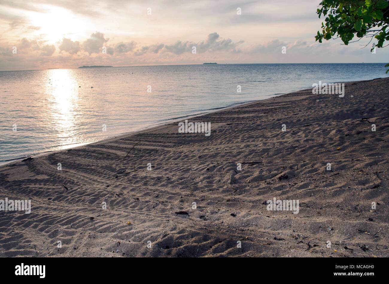Selingan turtle island Stock Photo - Alamy