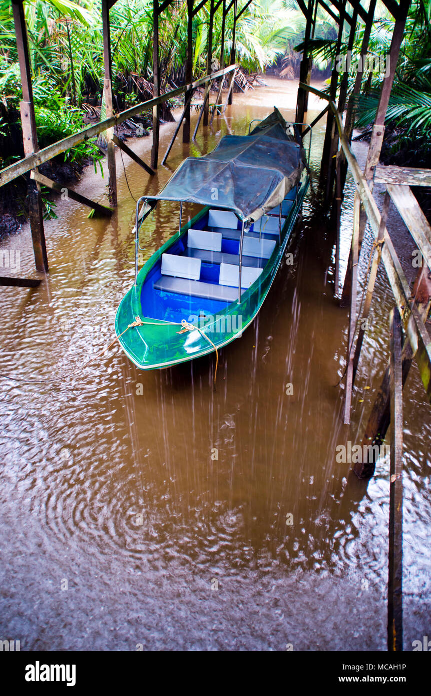 A tropical rain on Borneo Stock Photo - Alamy