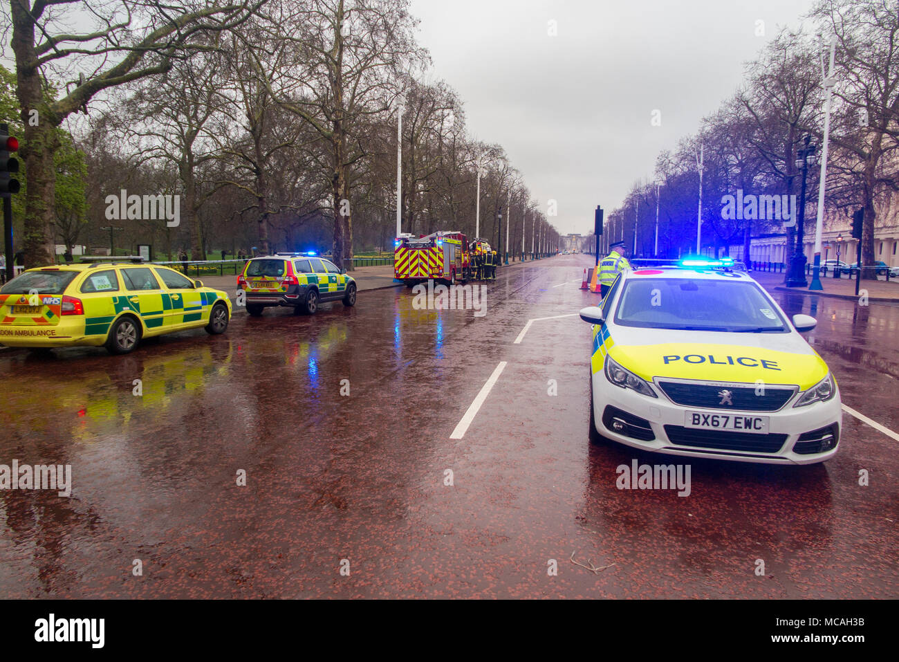 Police and Fire brigade on the Mall near Buckingham Palace following a ...