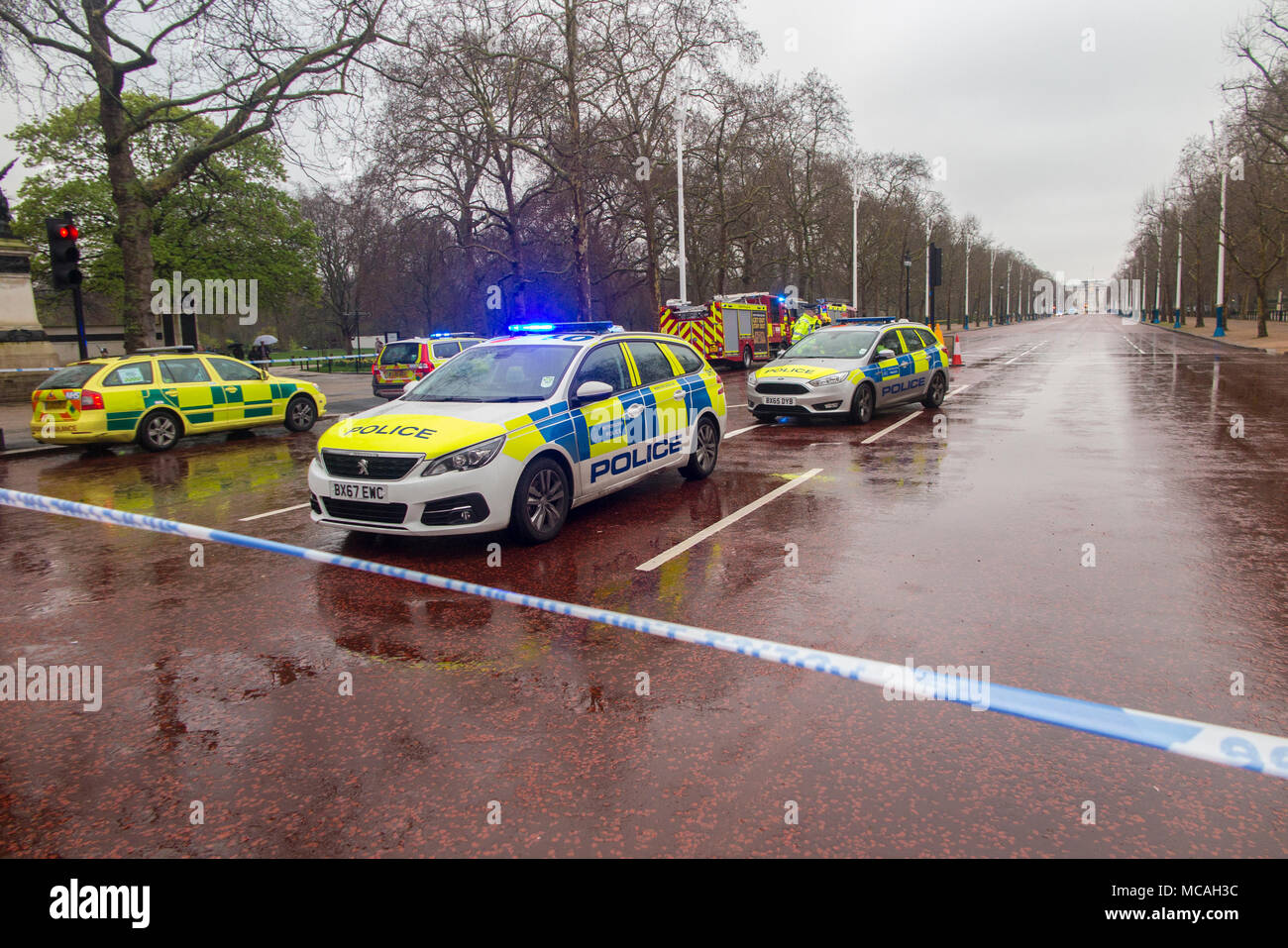 Police and Fire brigade on the Mall near Buckingham Palace following a ...
