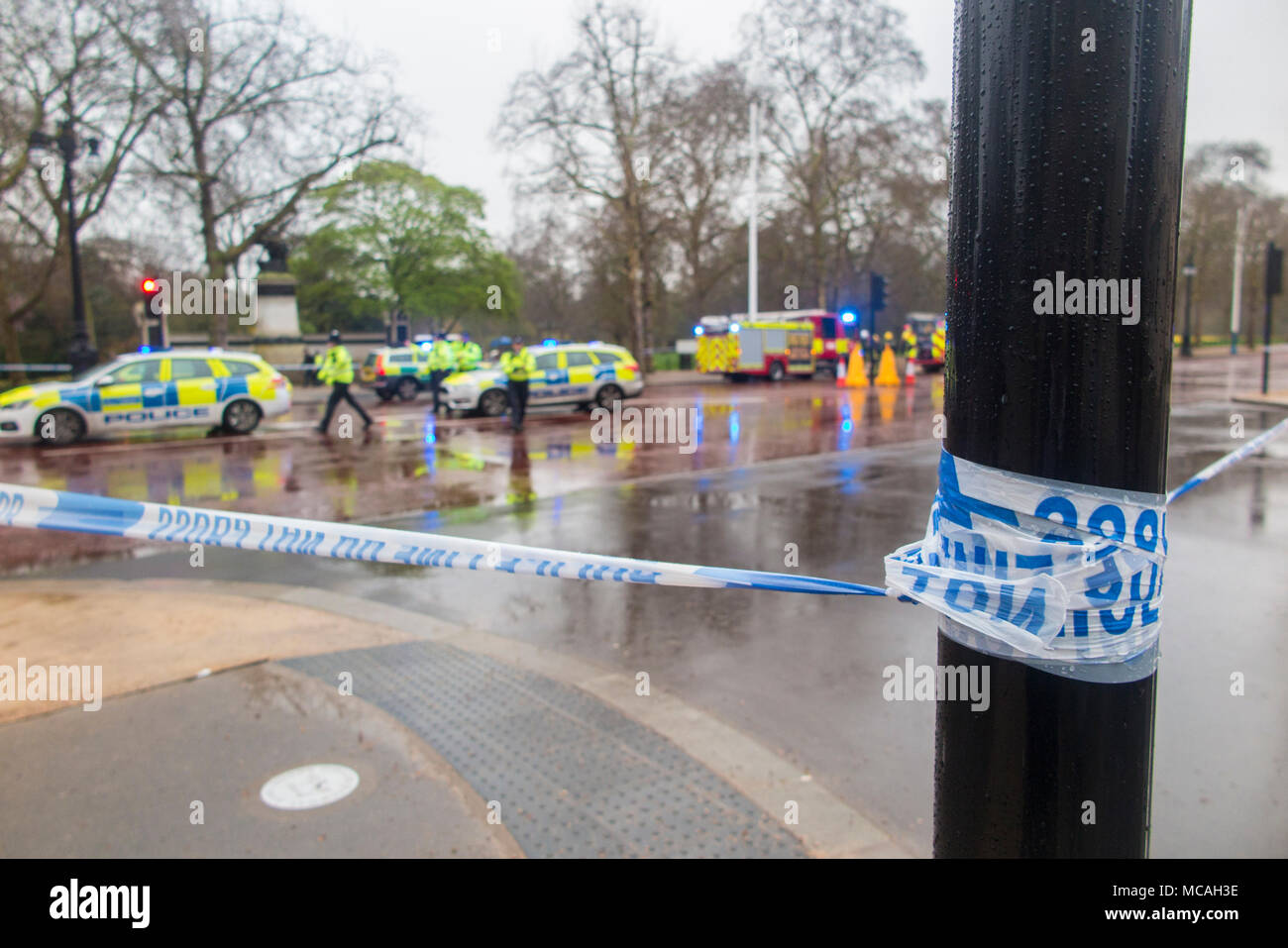 Police and Fire brigade on the Mall near Buckingham Palace following a ...