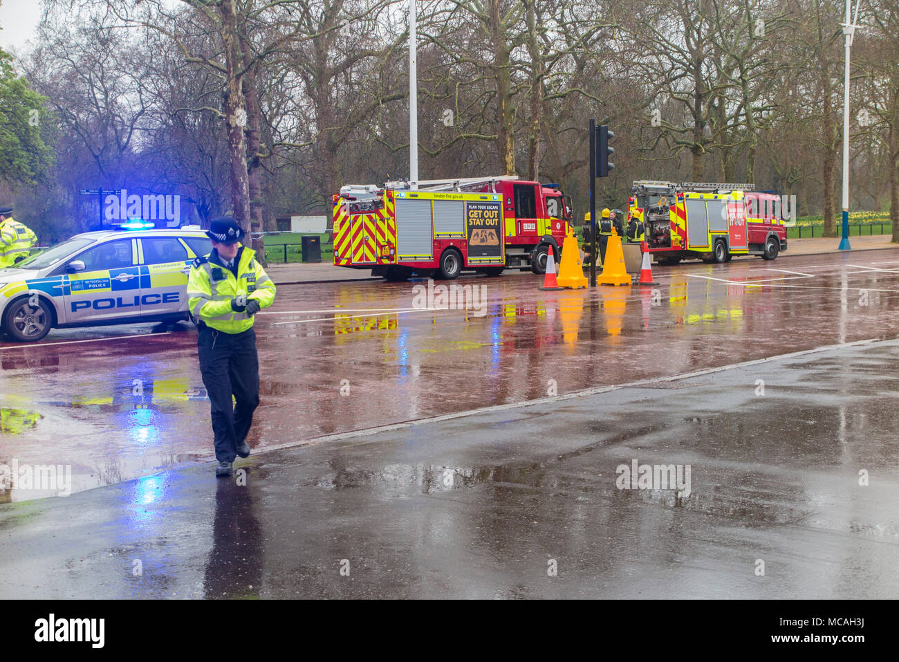 Police and Fire brigade on the Mall near Buckingham Palace following a ...