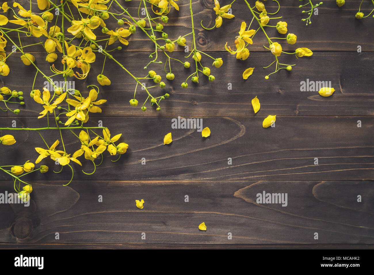 Yellow flower on wooden background with space with vintage toned Stock ...