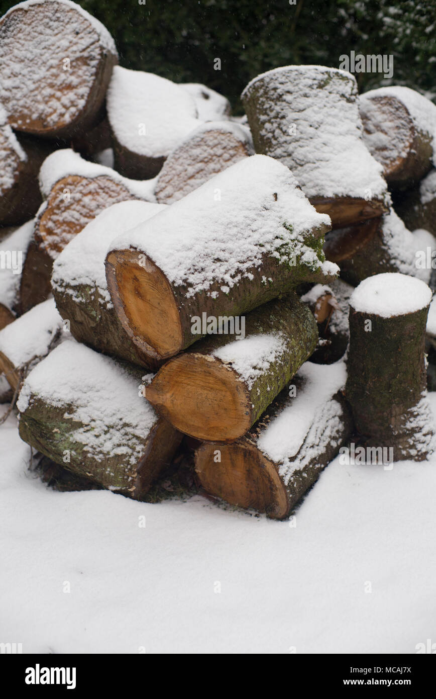 Yule logs hi-res stock photography and images - Alamy