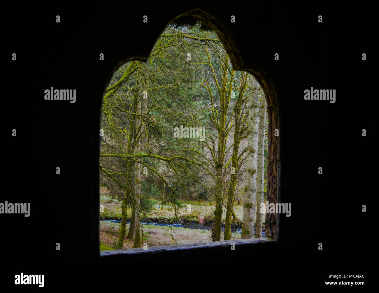 Trees through Arch Stock Photo - Alamy