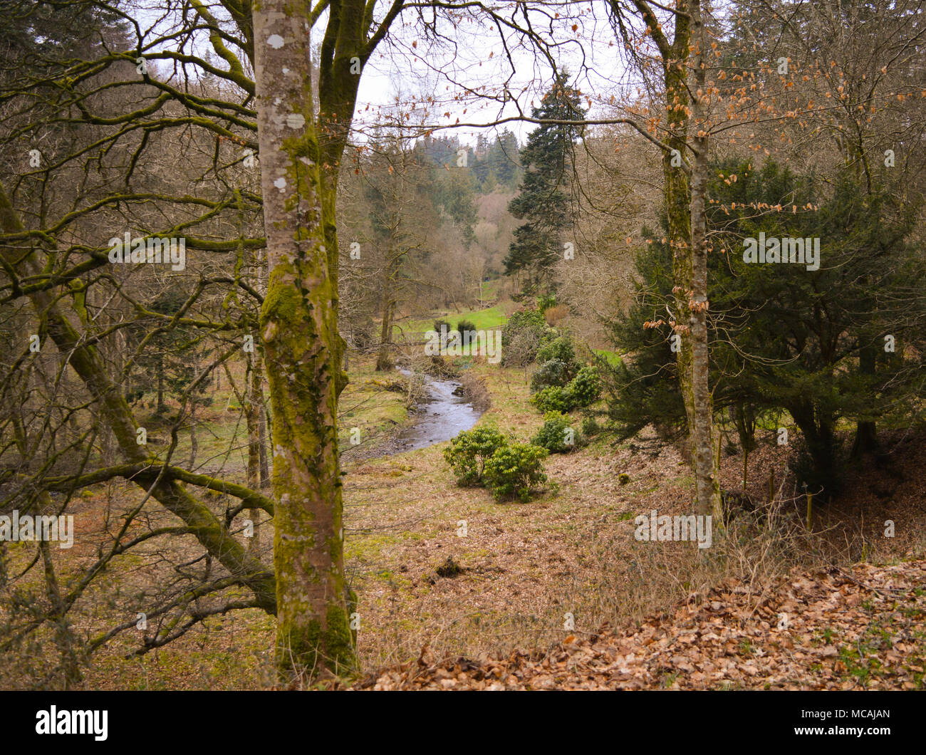 Walk through forest river hi-res stock photography and images - Alamy