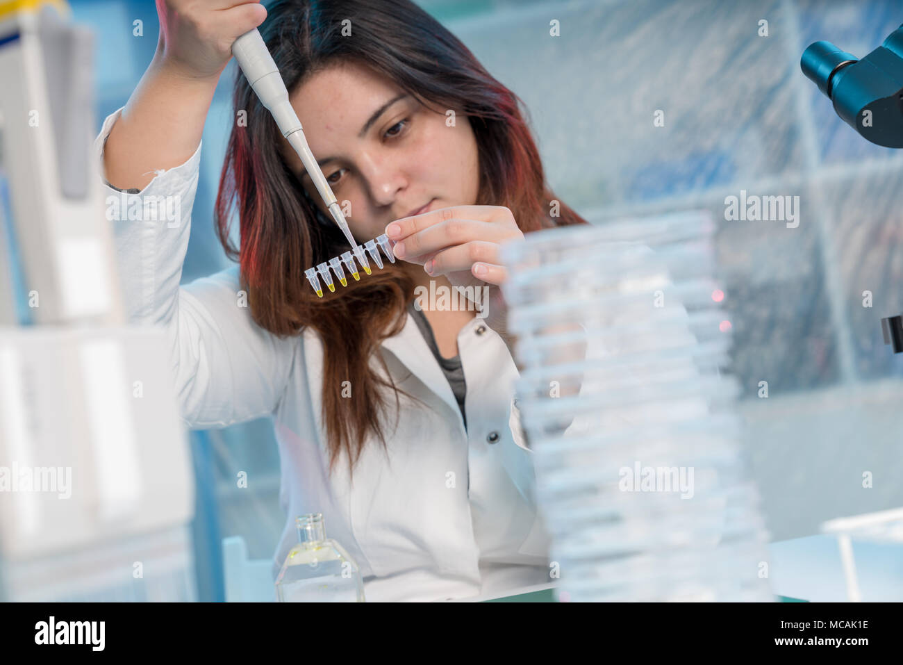Woman technician with multipipette in genetic laboratory PCR research ...