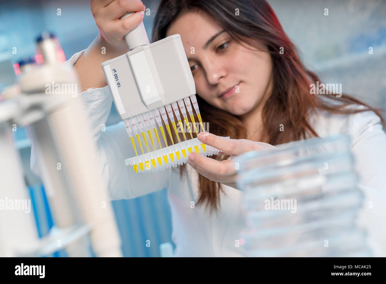 Woman technician with multipipette in genetic laboratory PCR research ...