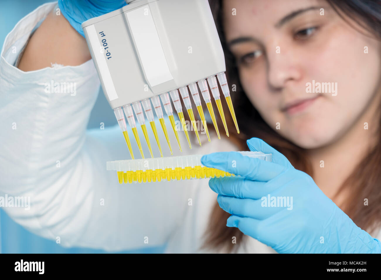 Woman technician with multipipette in genetic laboratory PCR research ...
