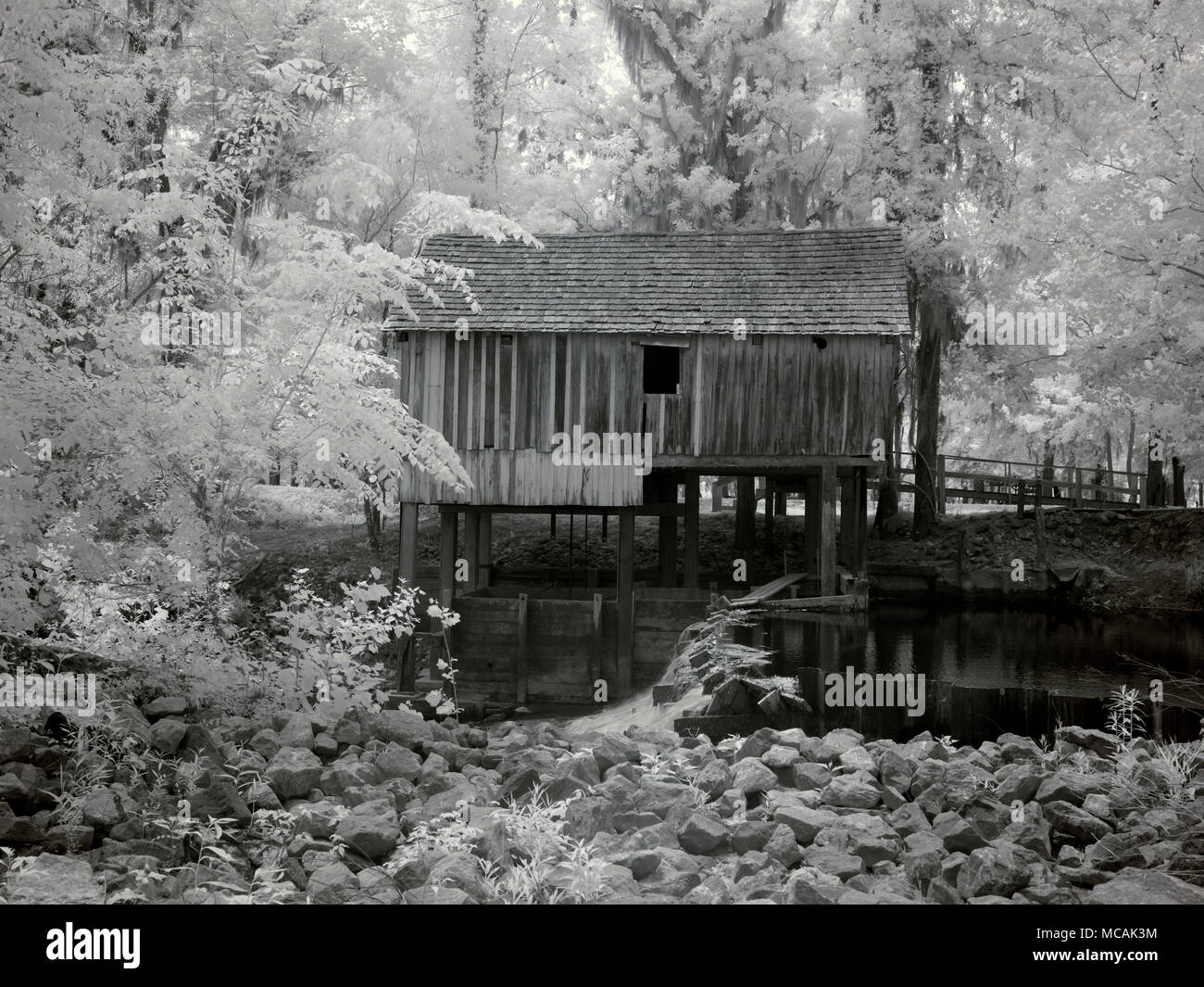 Beatrice alabama hi-res stock photography and images - Alamy