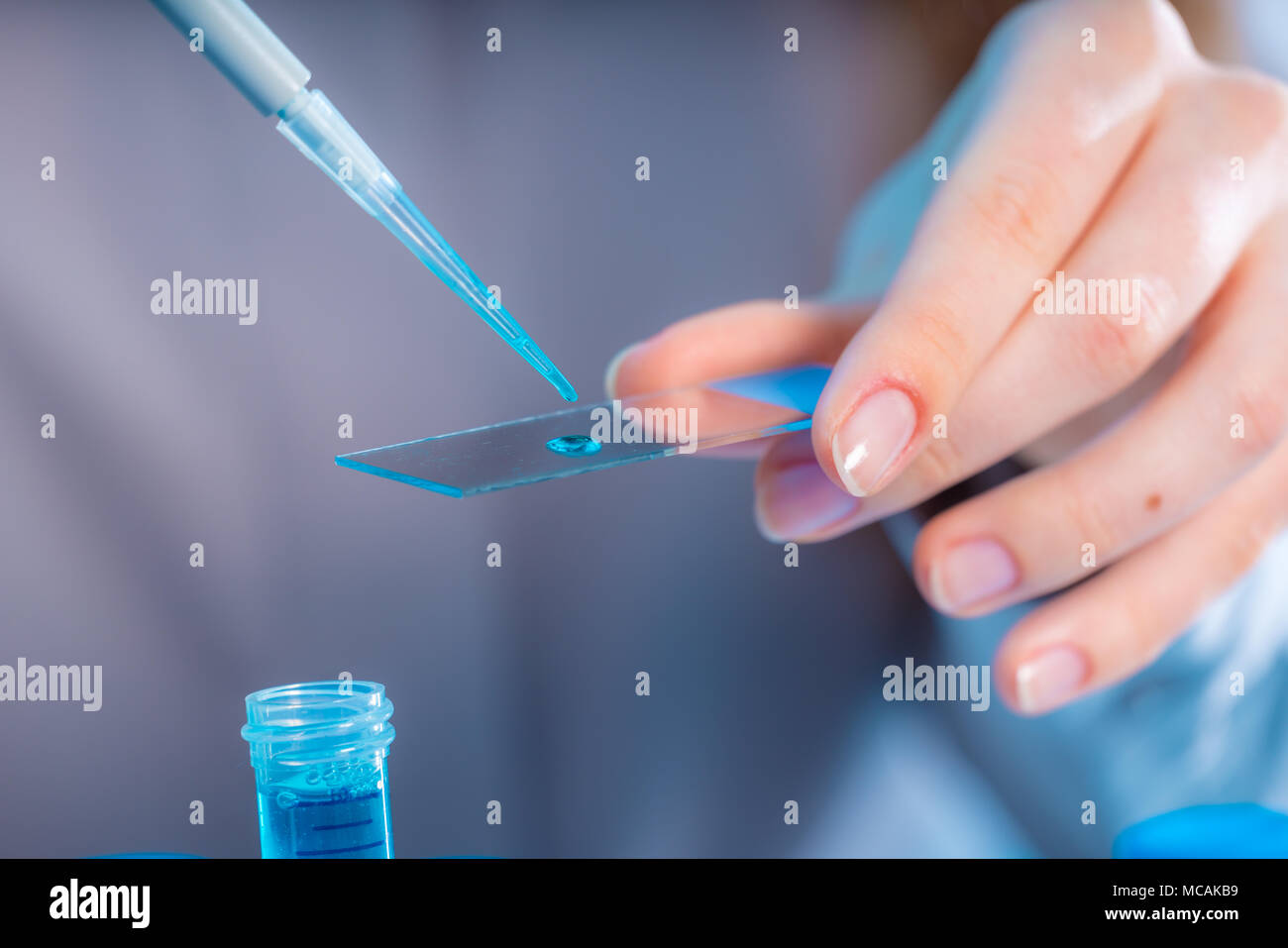 female technician take sample on microscope slide Stock Photo - Alamy