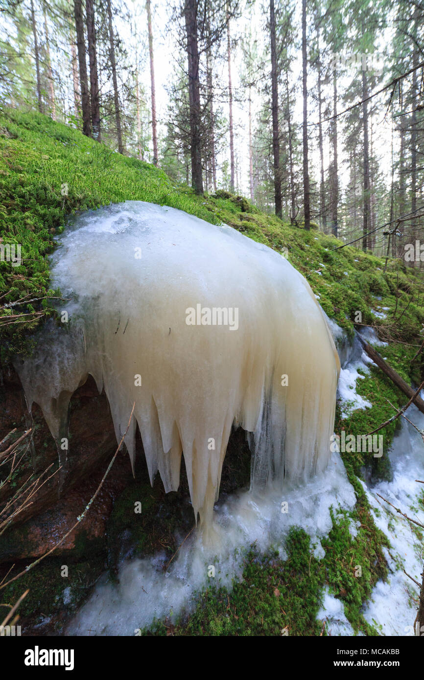 Moss with icicles hi-res stock photography and images - Alamy