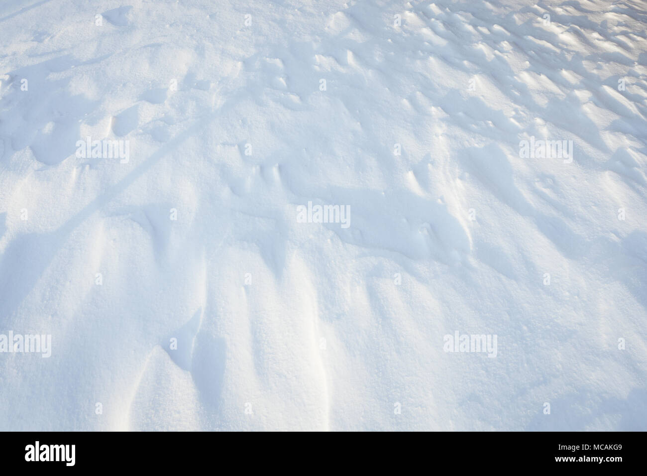 Wind frost hi-res stock photography and images - Alamy